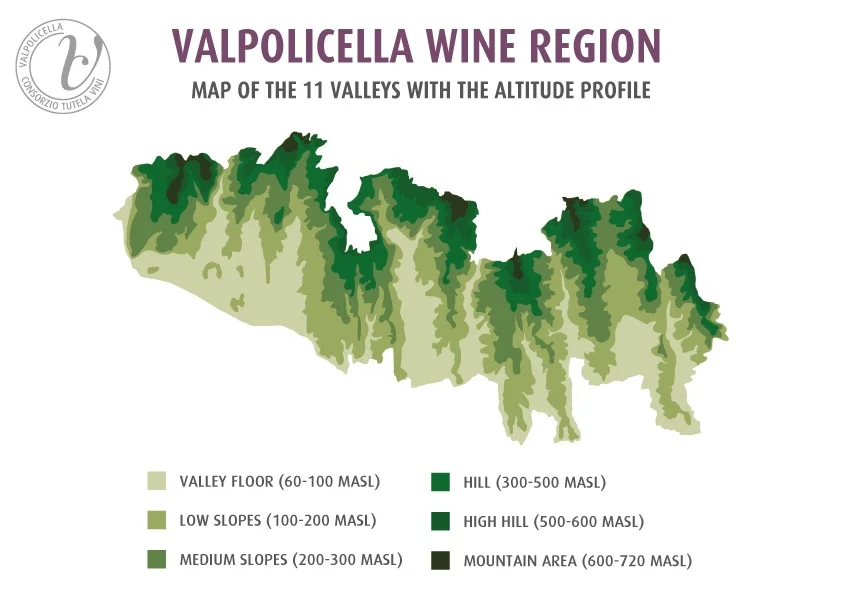 Valpolicella Crus — Terroir Amarone
