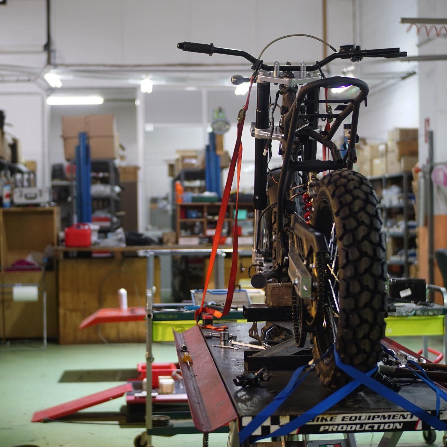 About — BORN Motor Co.