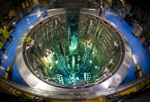 OPAL - Open Pool Australian Lightweight reactor — tony redhead