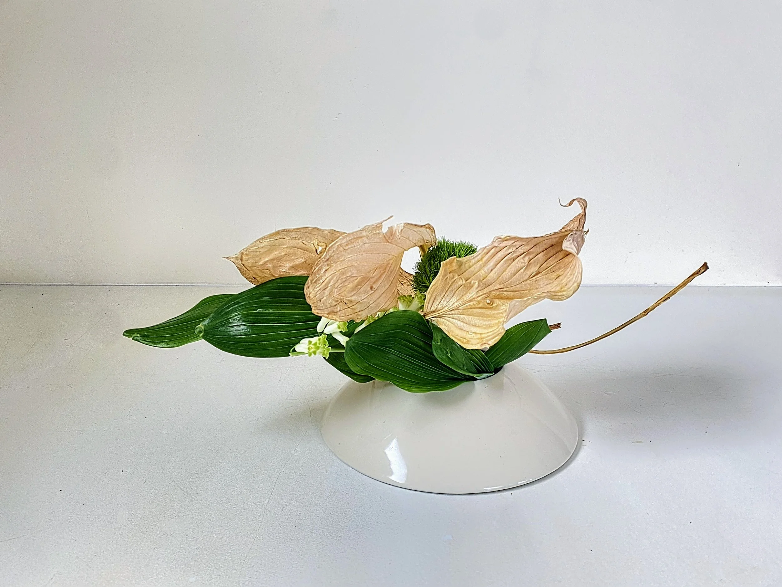the ikebana shop