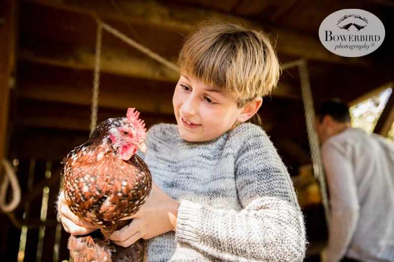 Blog Bowerbird Photography