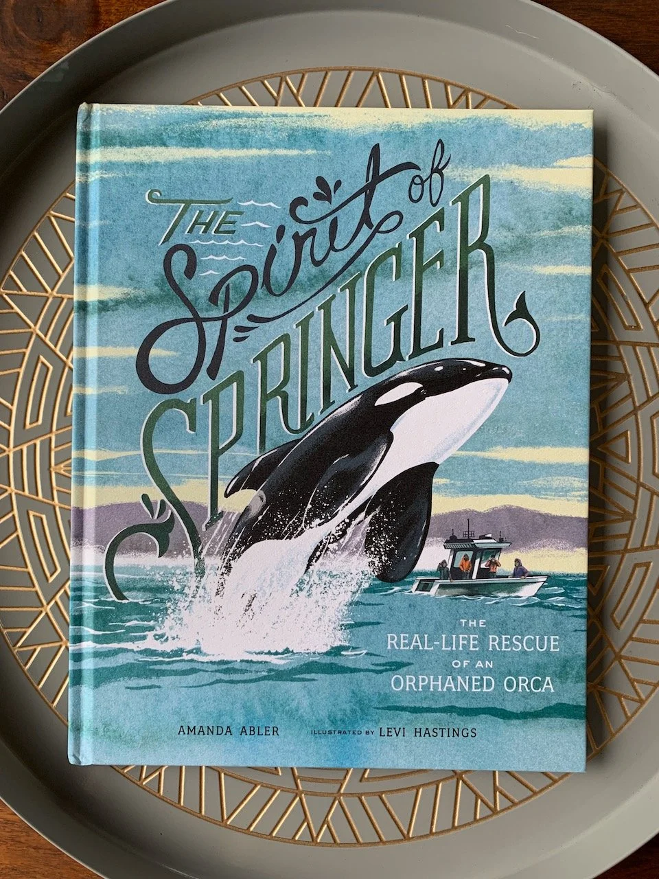 The Spirit of Springer — LEVI HASTINGS