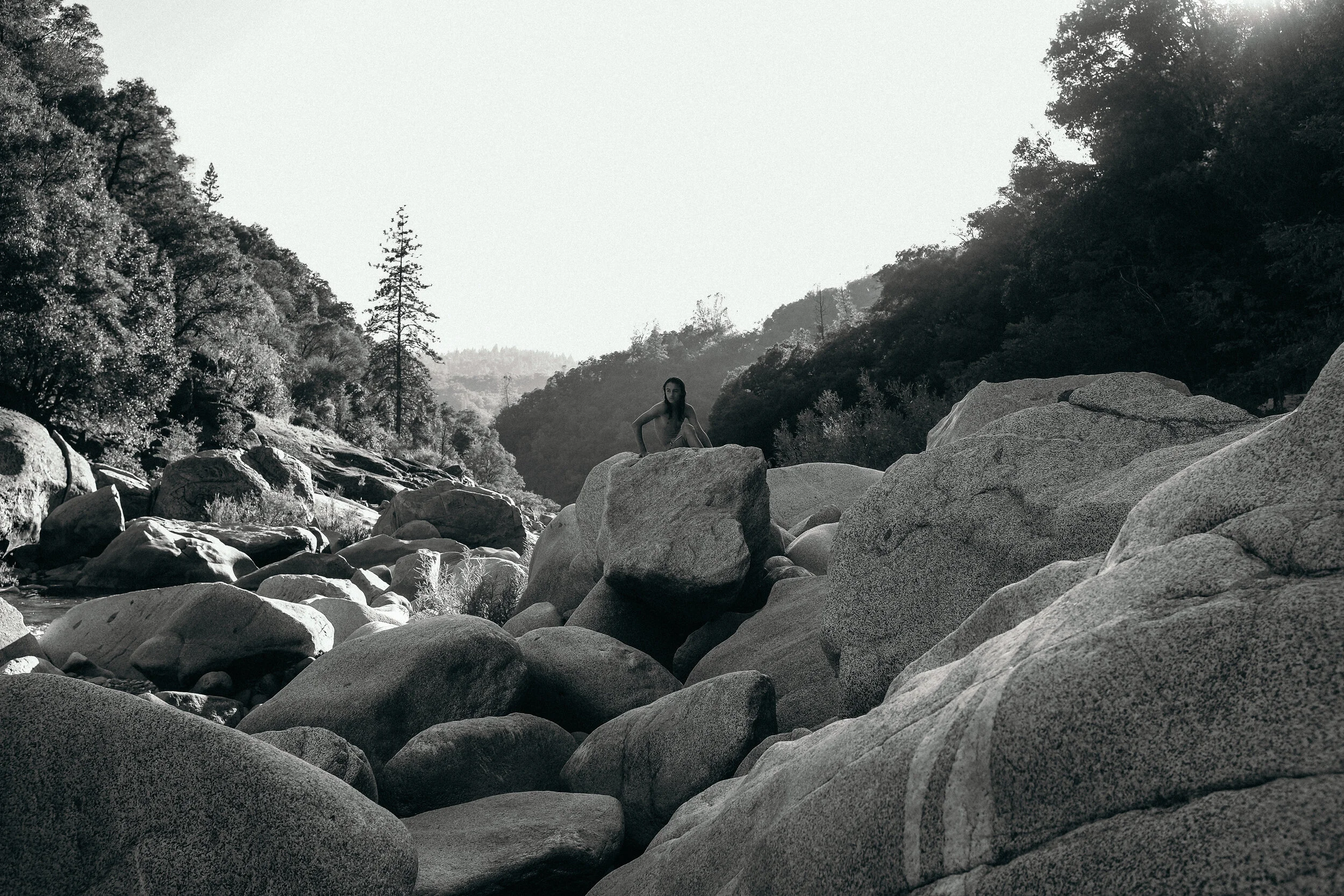 The Journal of Tyler Thompson