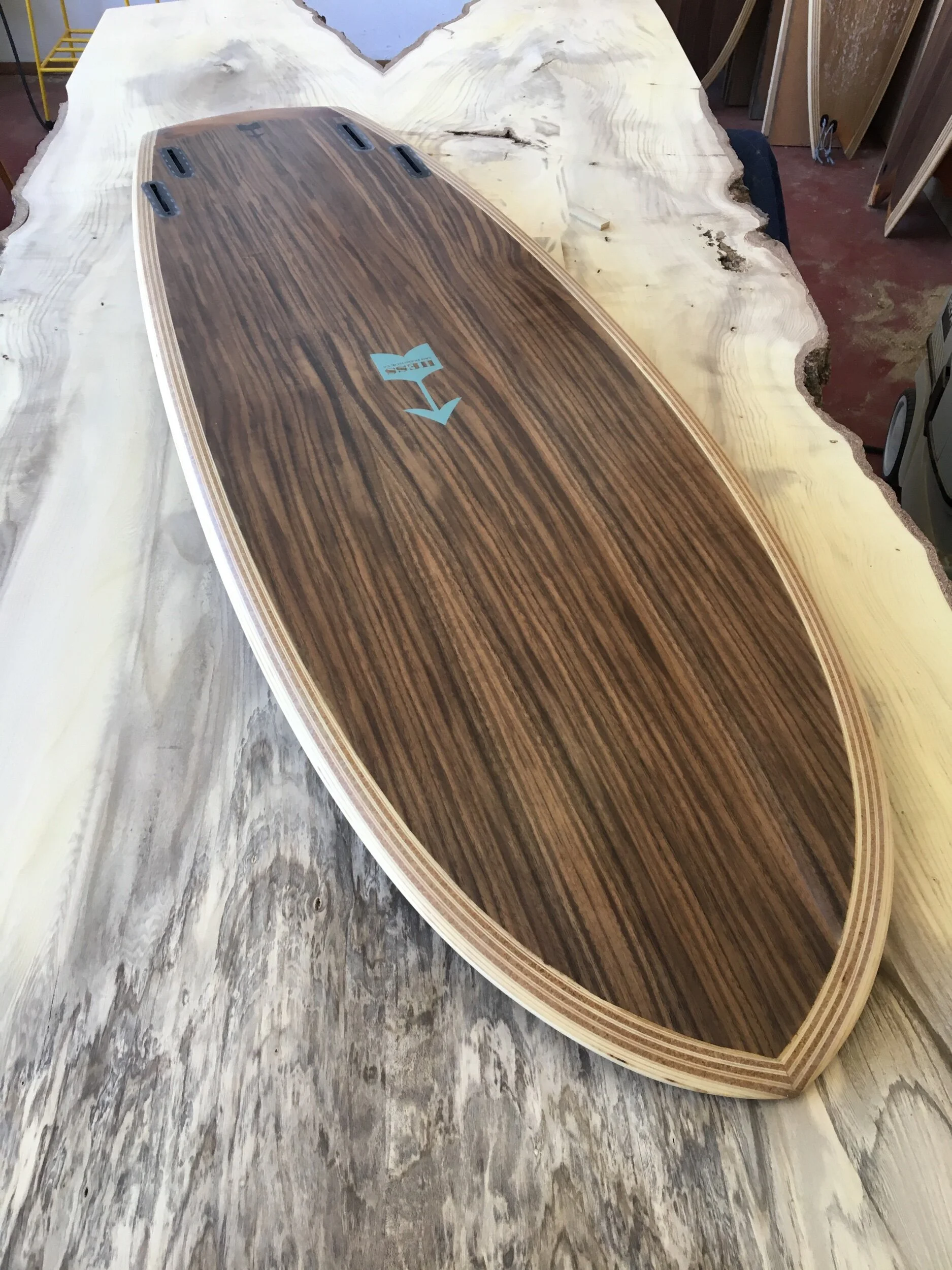 SNAGGLE PAW — Hess Surfboards