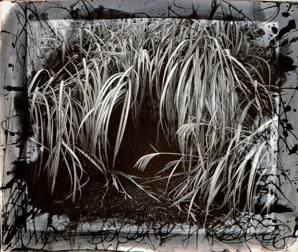 Robert Asman — Artetude Gallery