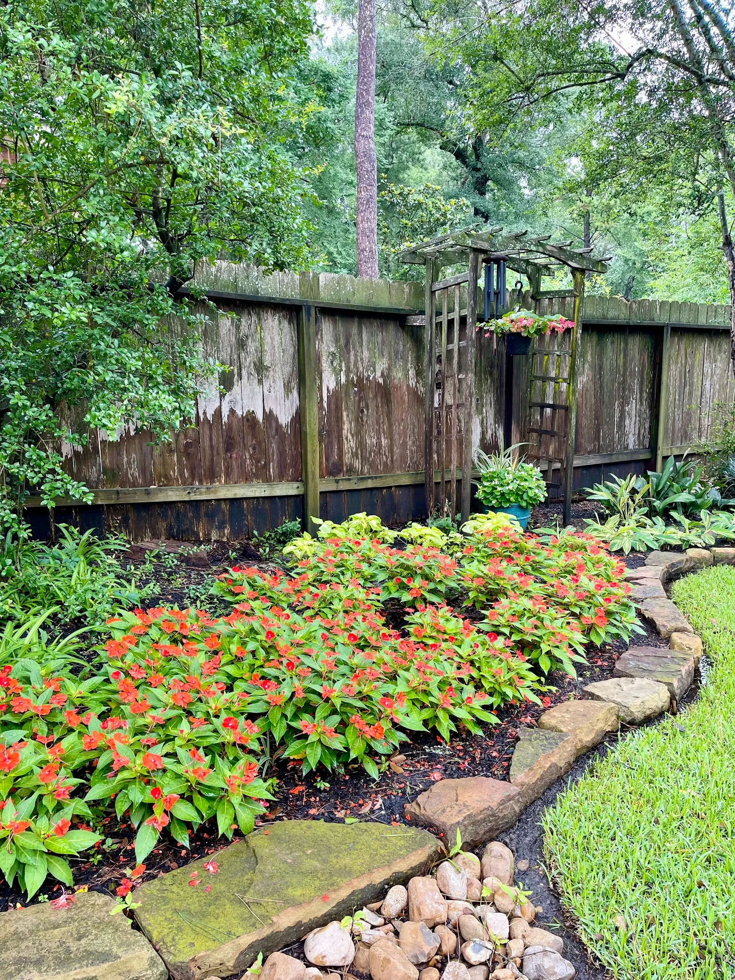 Gardening Has Captured My Heart Again — DESIGNED