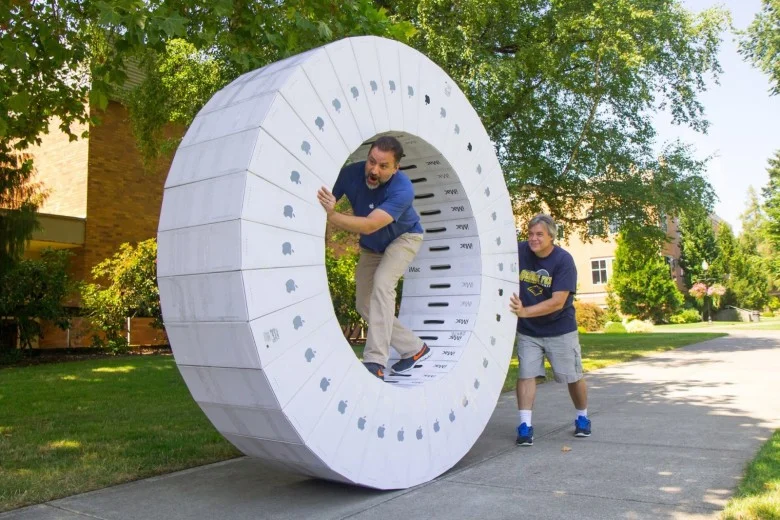 Human Sized Hamster Wheel