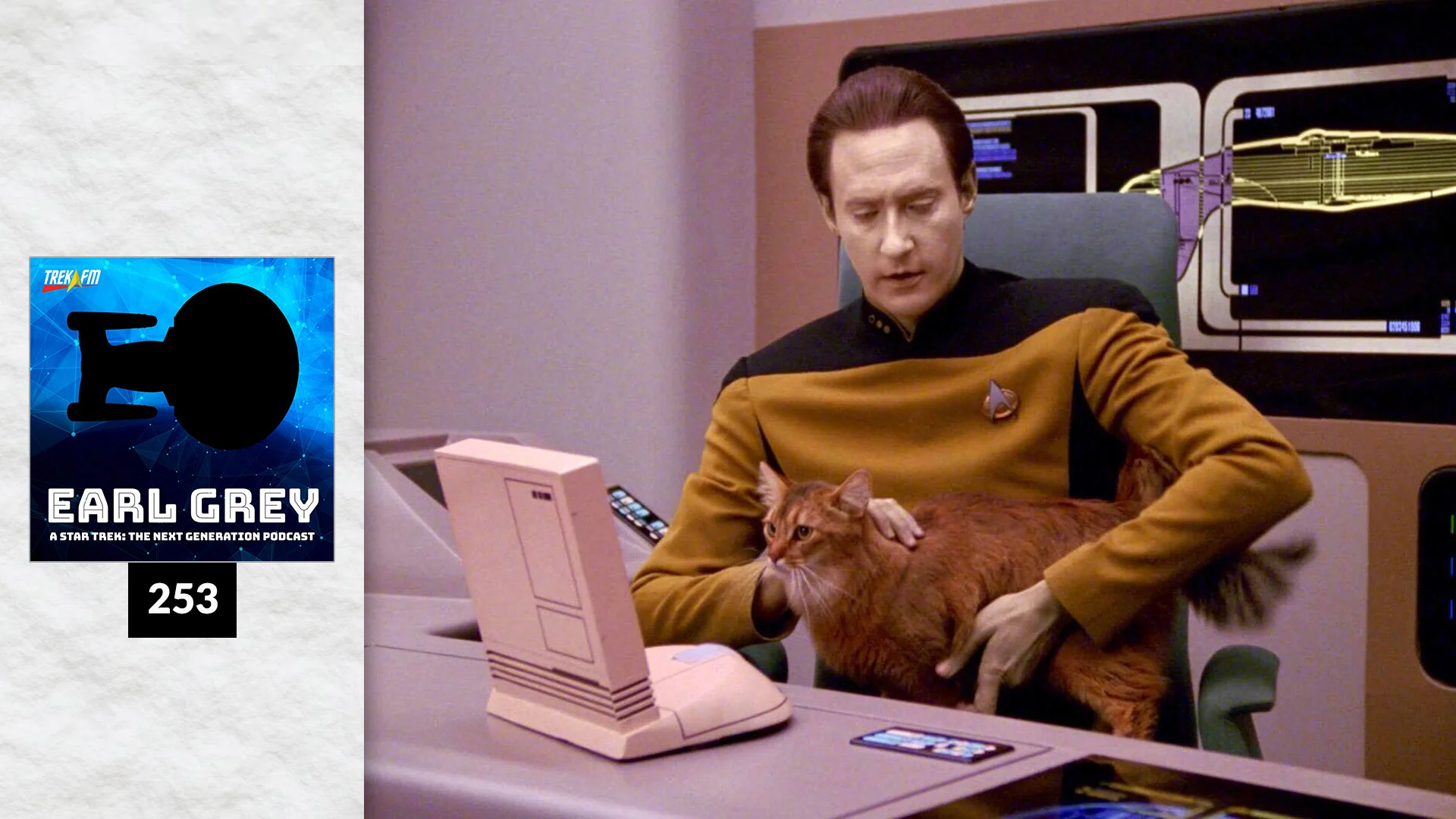 Star Trek Data And Spot