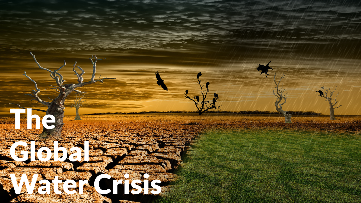 RESOURCES — EdTech Lounge