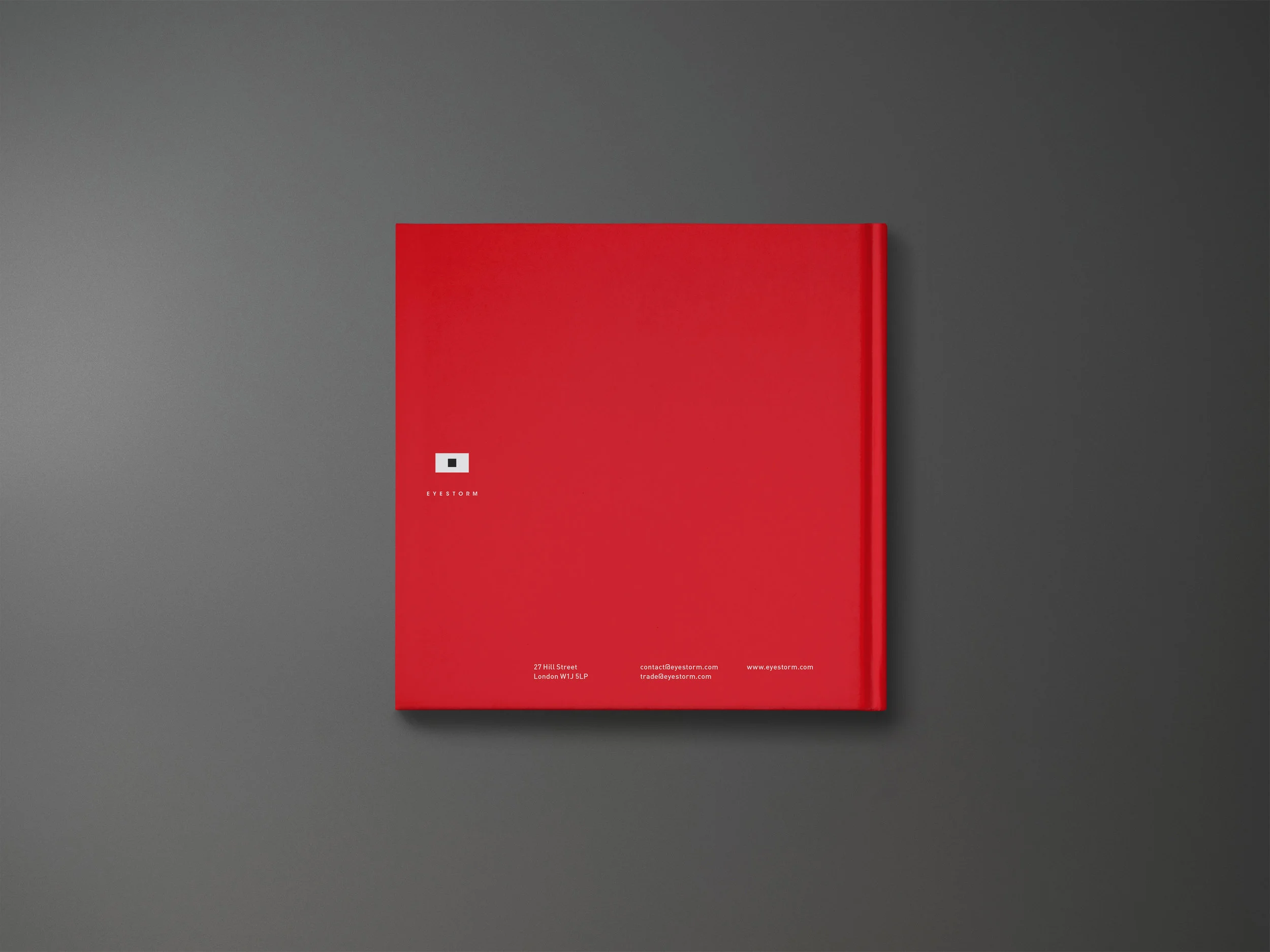 Eyestorm branding | Adam Booker