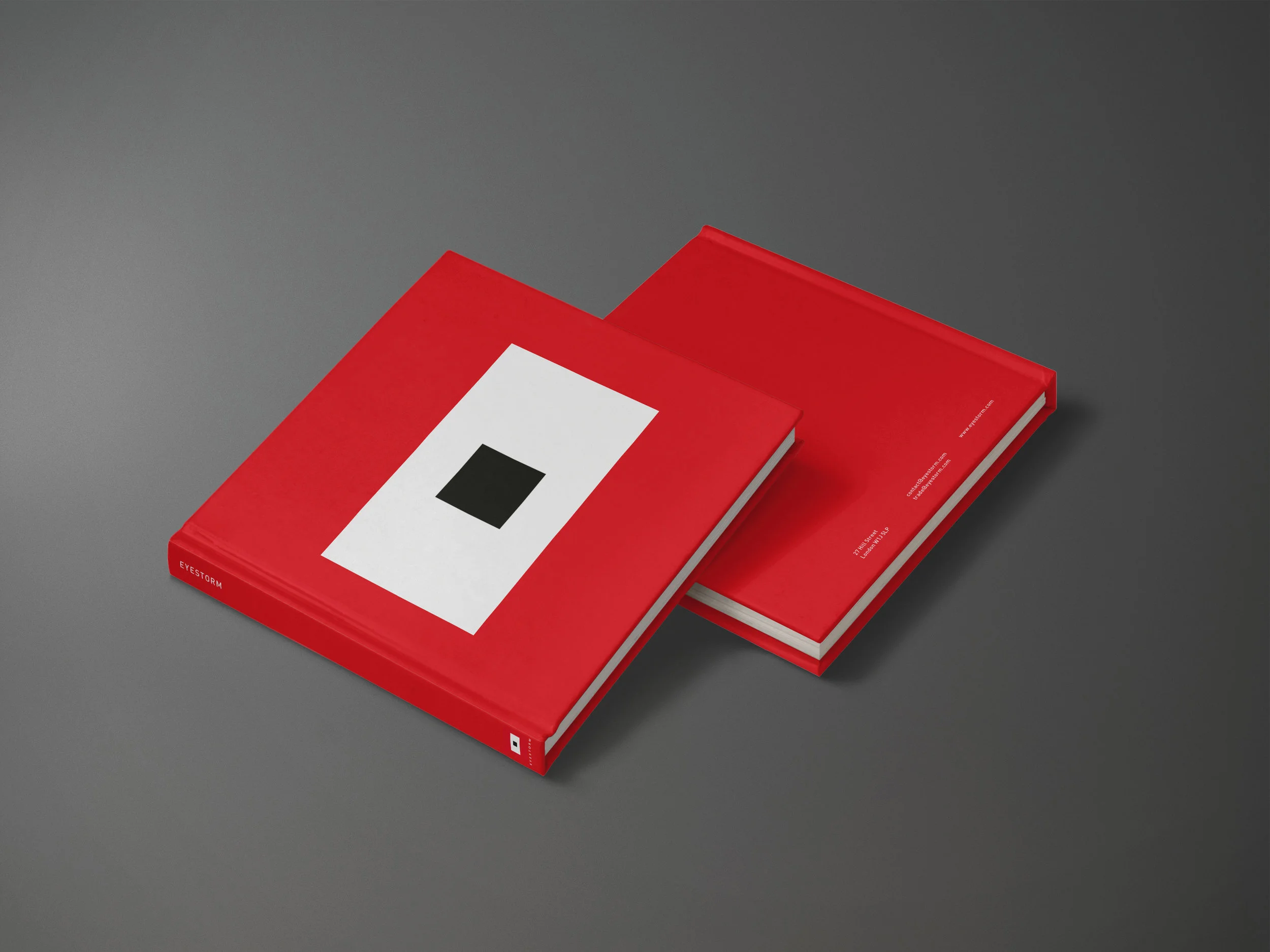 Eyestorm branding | Adam Booker