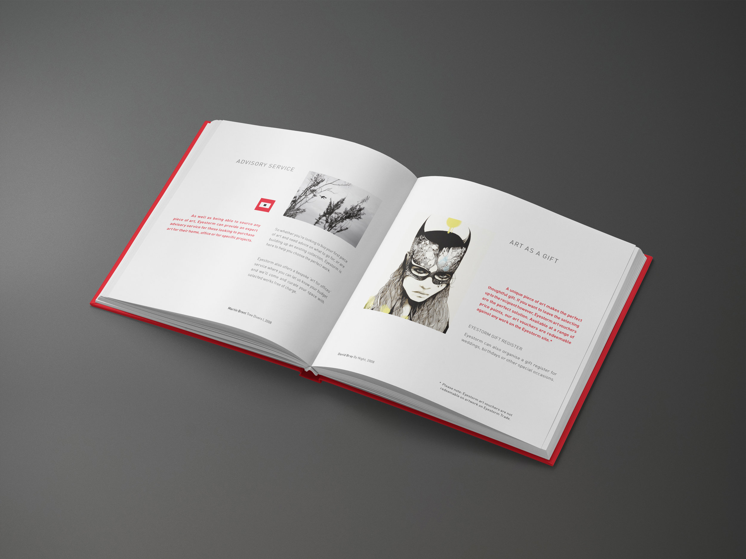 Eyestorm branding | Adam Booker