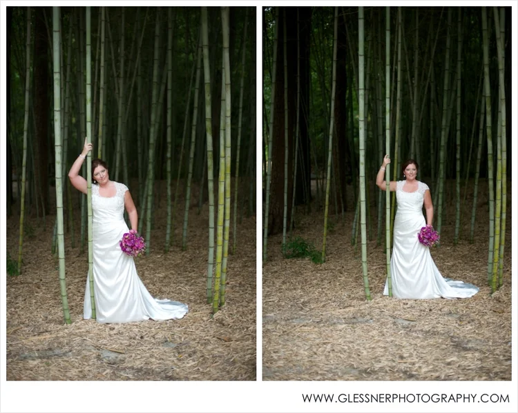 jamie :: bridal portraits :: durham wedding photographer — Greensboro ...