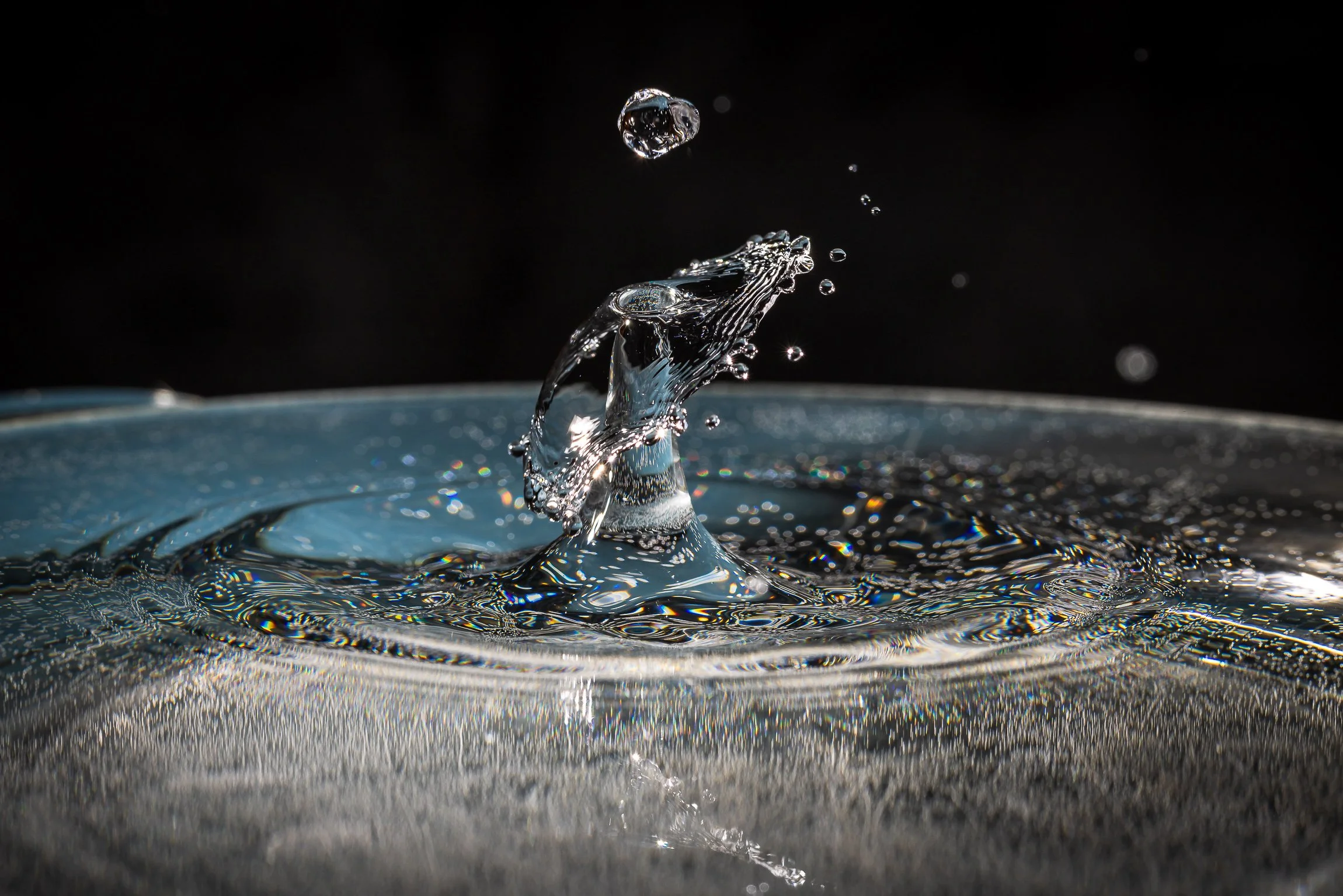 Newmarket Camera Club