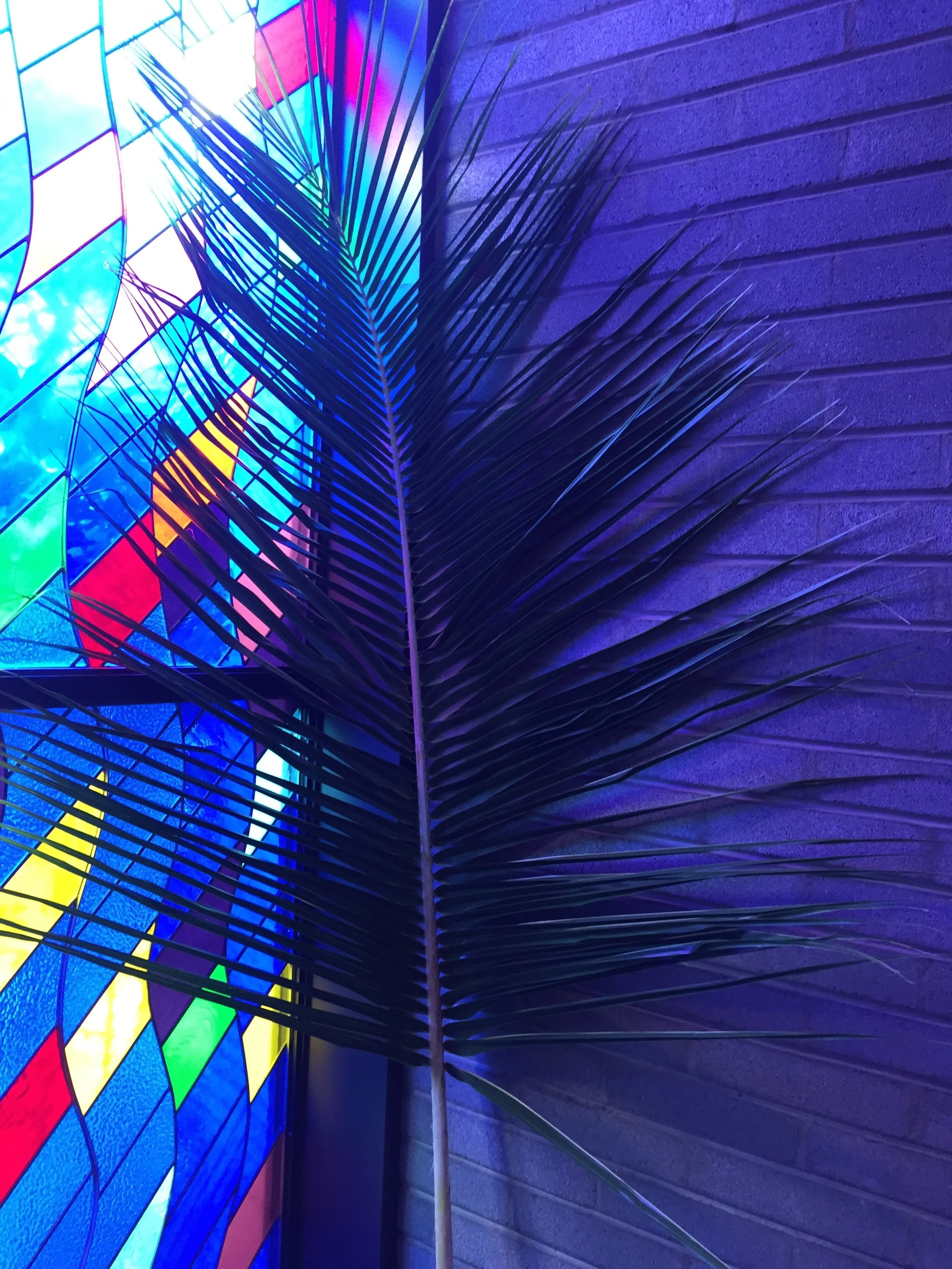 Sundays & Holy Days — St. Mark's Episcopal Church