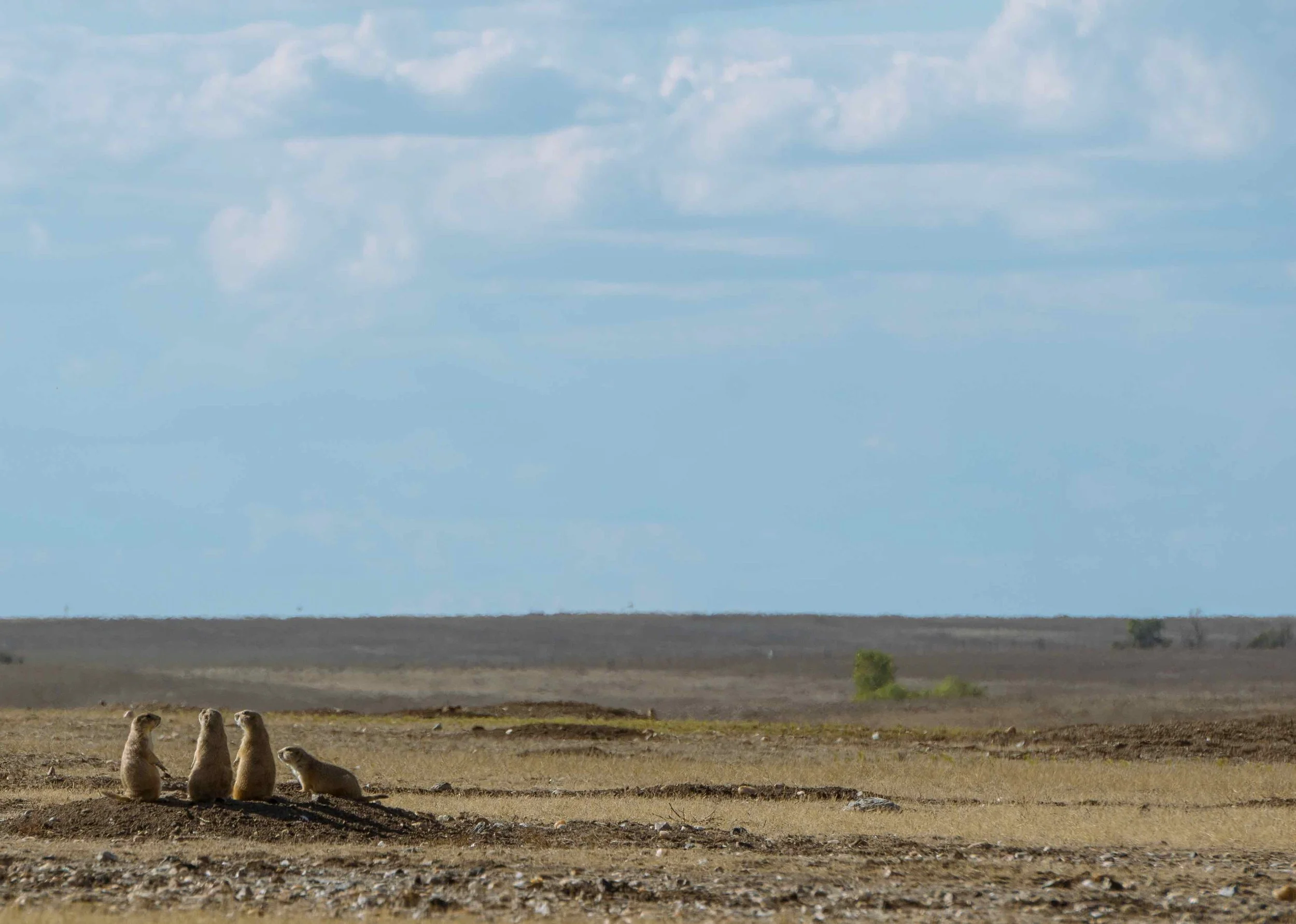 SPLIT ROCK REVIEW — ASHLEY STIMPSON