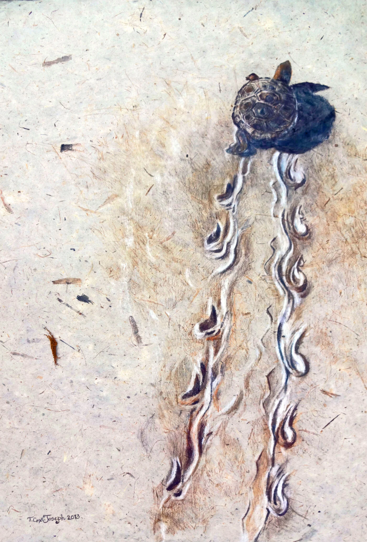 SPLIT ROCK REVIEW — TERRY JOSEPH