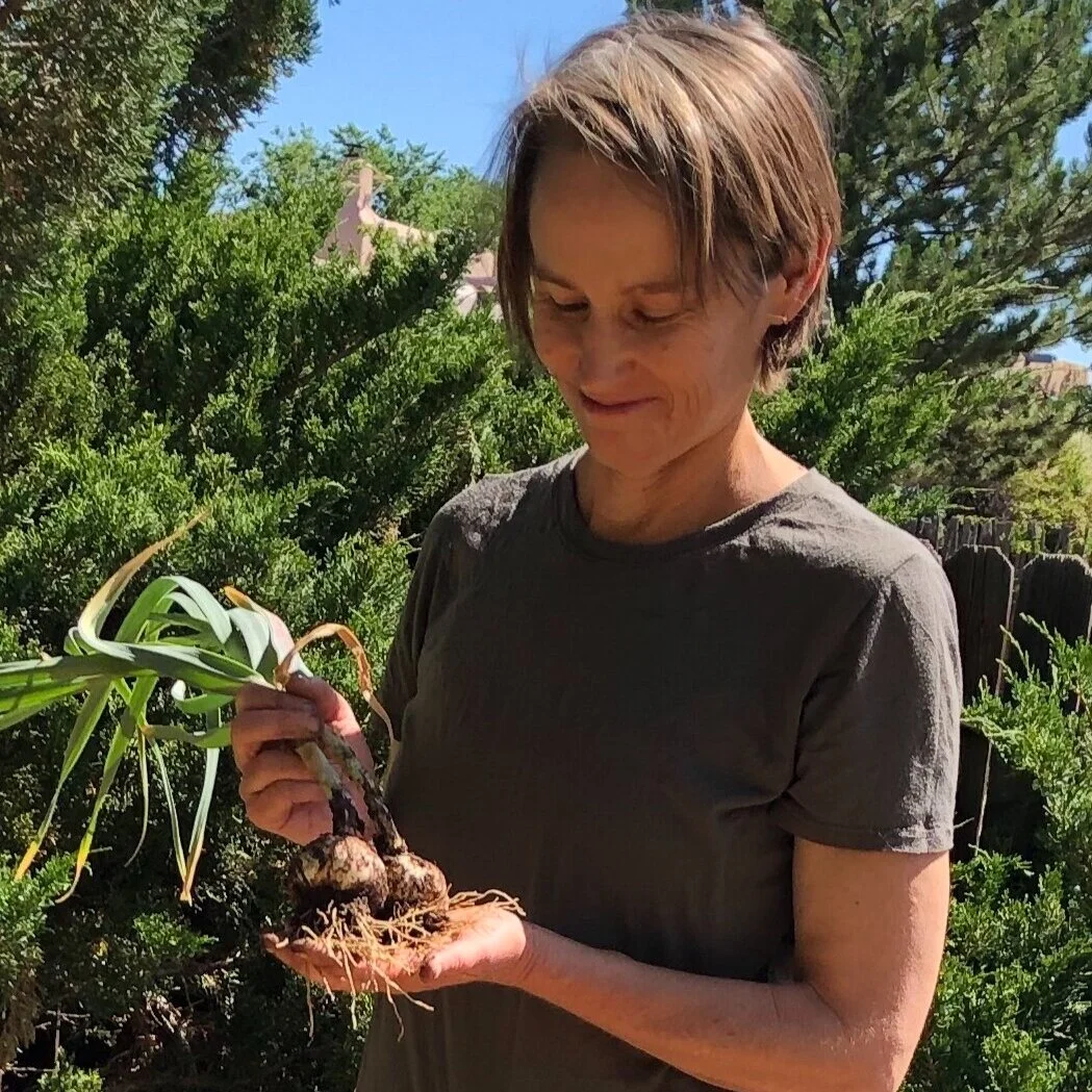 SPLIT ROCK REVIEW — PHOTIC ZONE — Anne Haven McDonnell