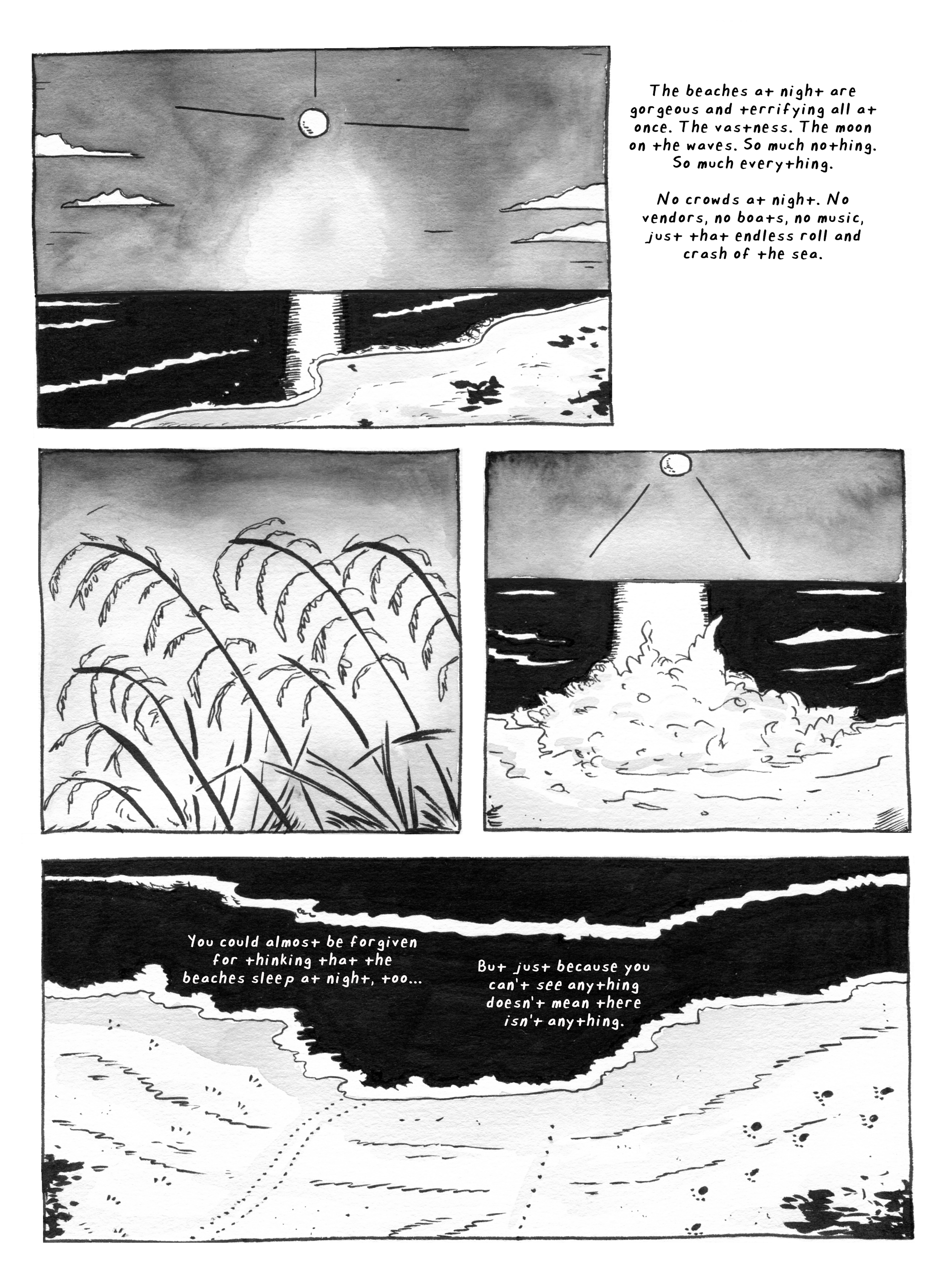 SPLIT ROCK REVIEW — NATHAN HOLIC