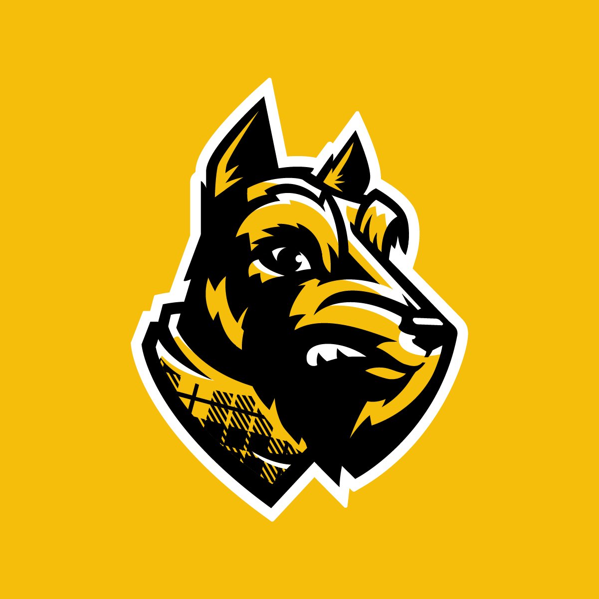New Work: Athletic Mascot for the College of Wooster | Slagle Design