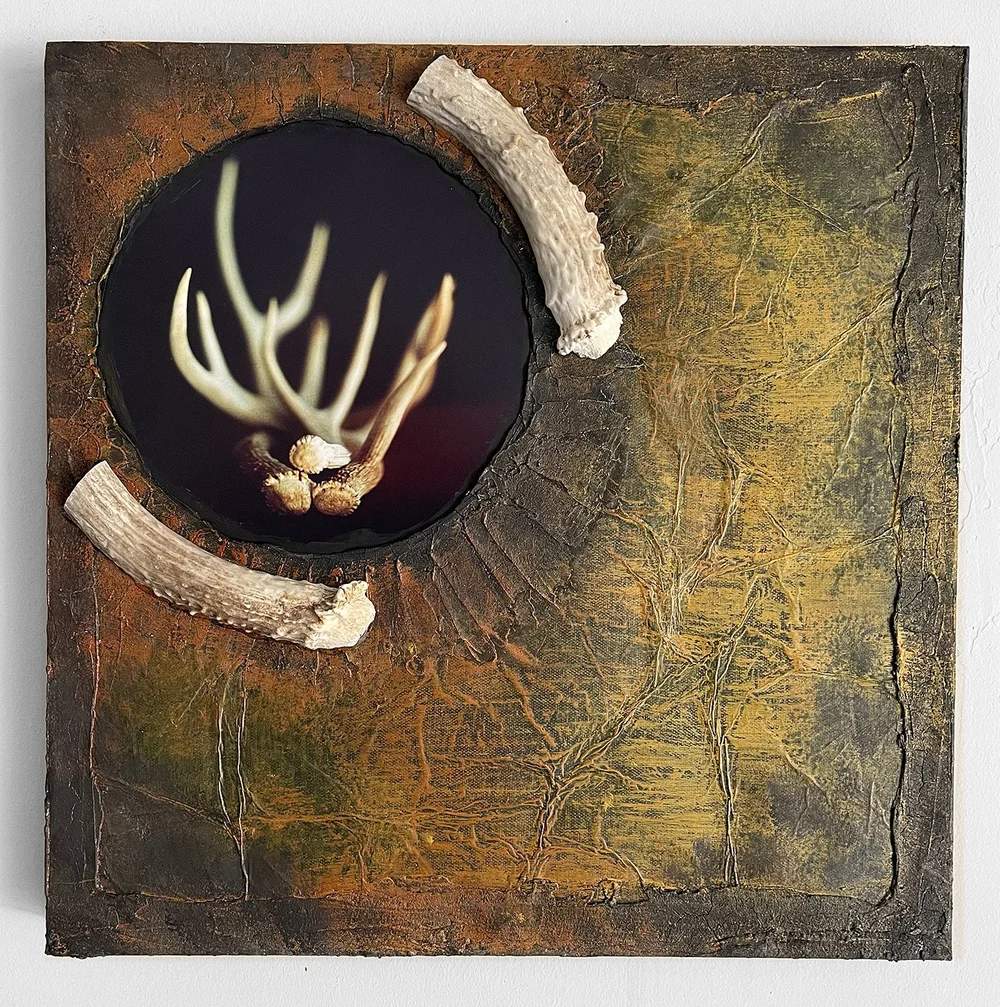 Studio Q Photography