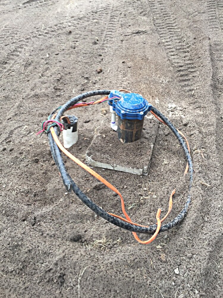 Homestead Build - August 23, 2020 — Studio Q Photography