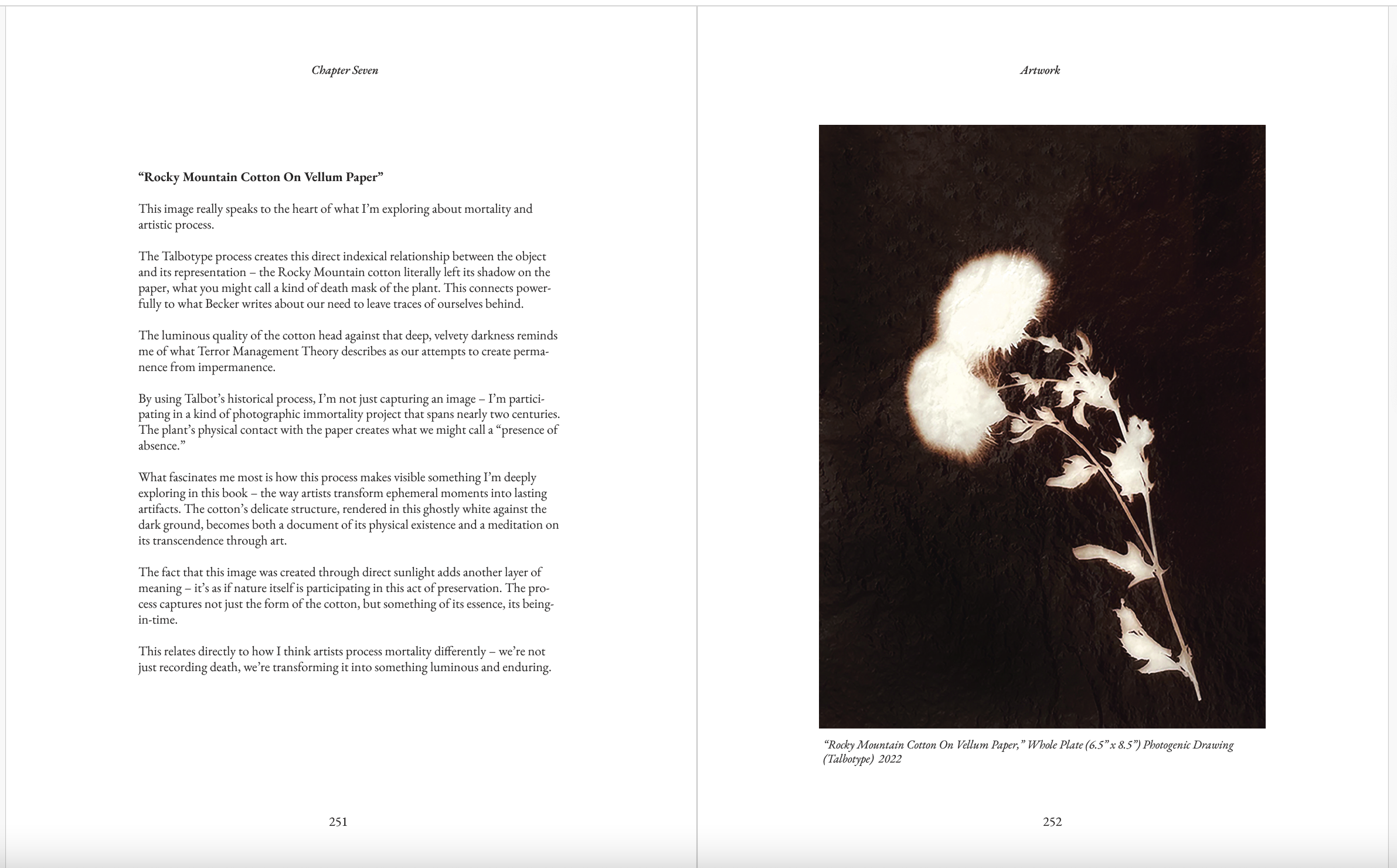 Photogenic Drawings — Studio Q Photography