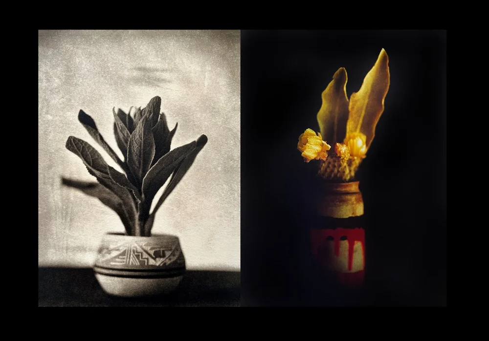 Studio Q Photography