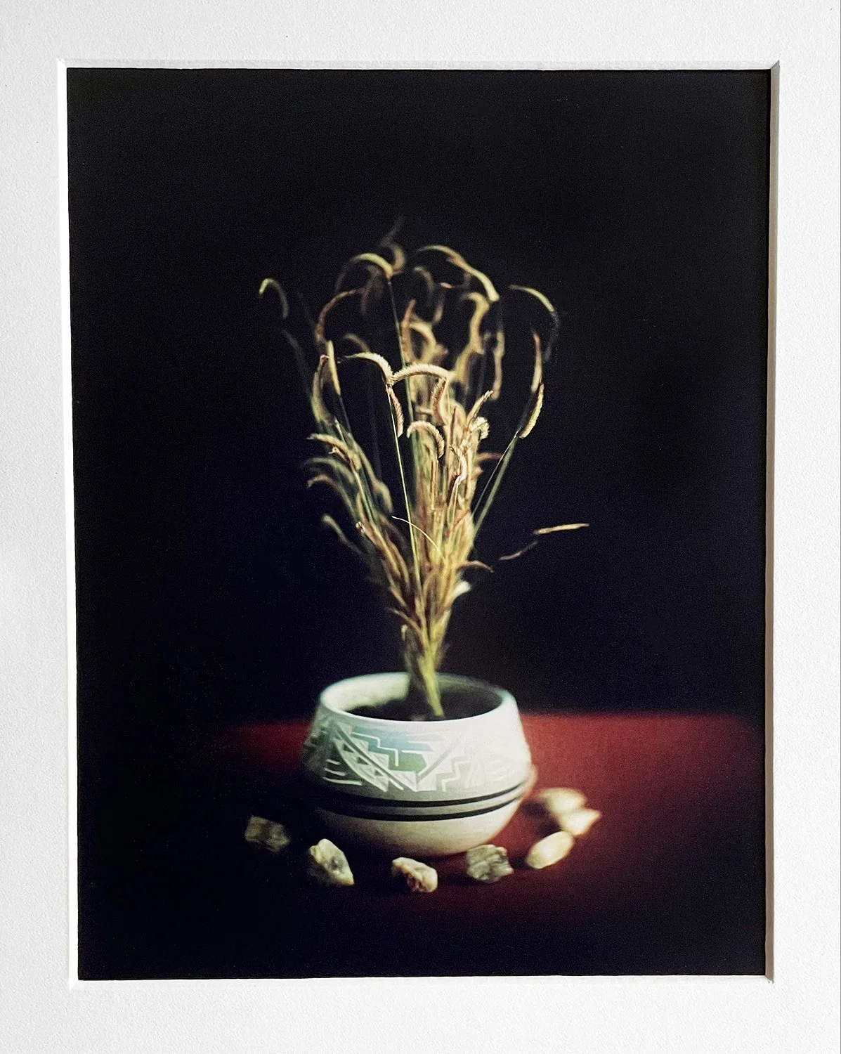 The Evolution of a Body of Work (Photographs)-RA-4 Color Reversal ...