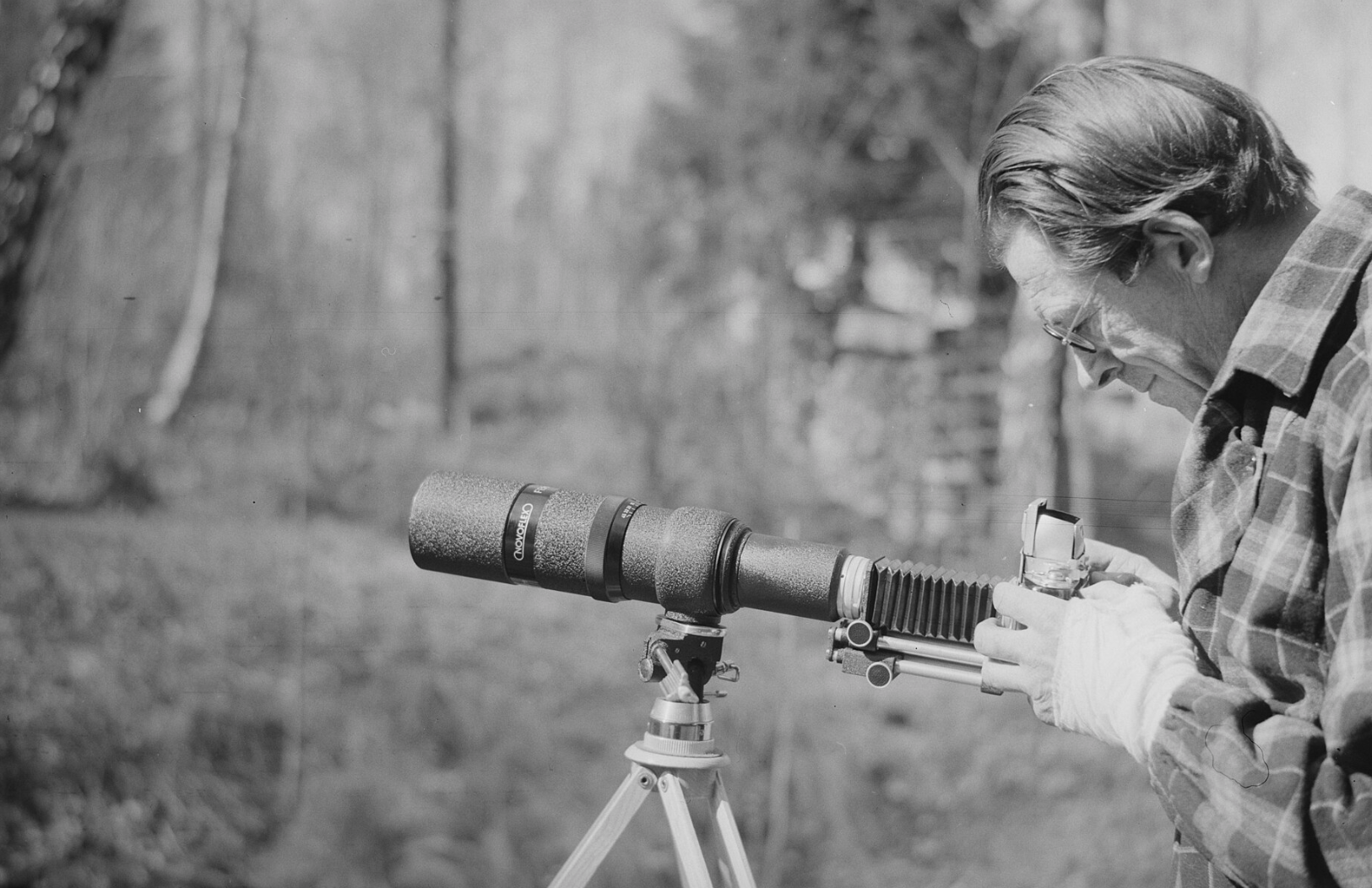 Revisiting Peter Wessel Zapffe and The Last Messiah (1933) — Studio Q ...