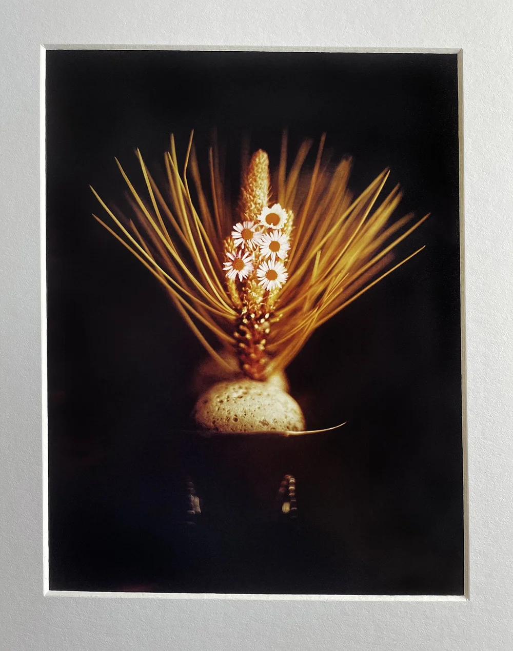 The Last Messiah by Peter Wessel Zapffe (1933) — Studio Q Photography