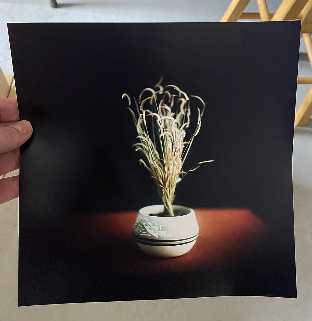 The Evolution of a Body of Work (Photographs)-RA-4 Color Reversal ...