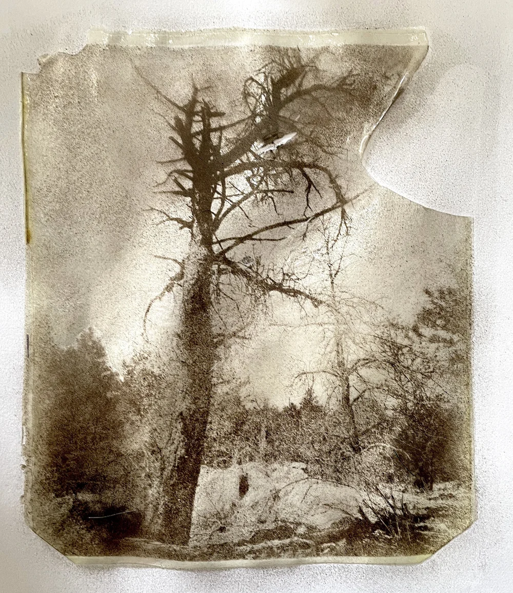 Walter Benjamin, "A Short History of Photography" (1931) — Studio Q ...