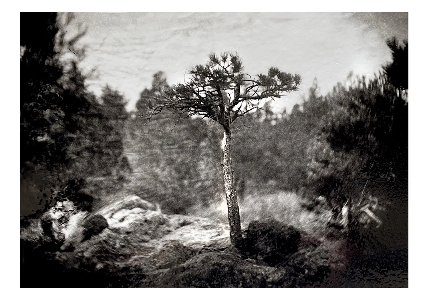 Art: Wet Plate Collodion Photography and Painting — Studio Q Photography