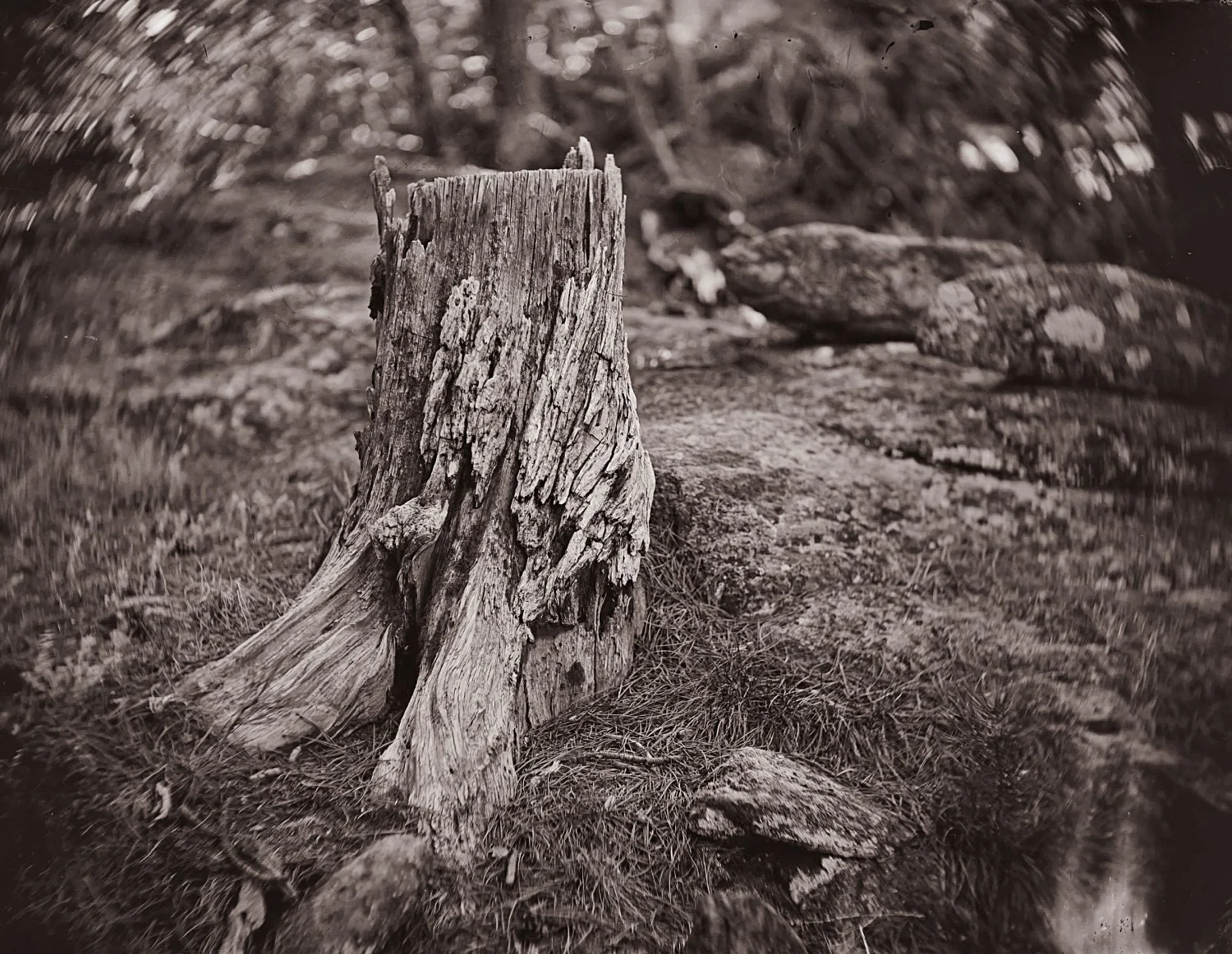 Wet Collodion Negatives and Salt Prints — Studio Q Photography