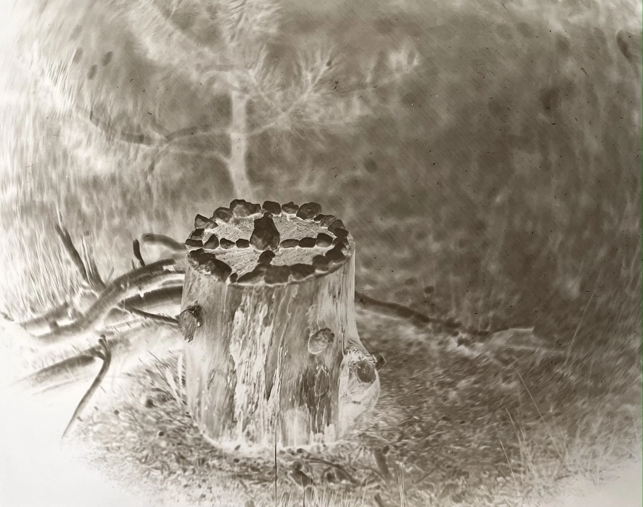 The Medicine Wheel Printed as a Toned Kallitype — Studio Q Photography