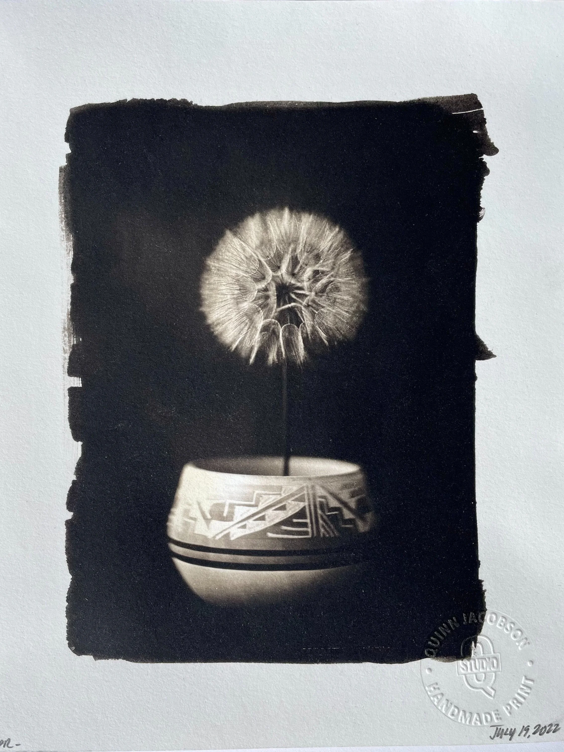 Western Goat's Beard and Gunnison's Mariposa Lily — Studio Q Photography