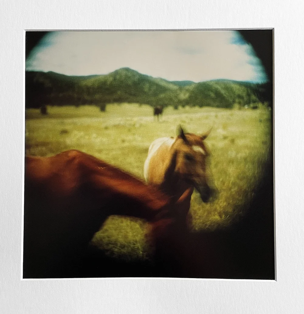 Studio Q Photography