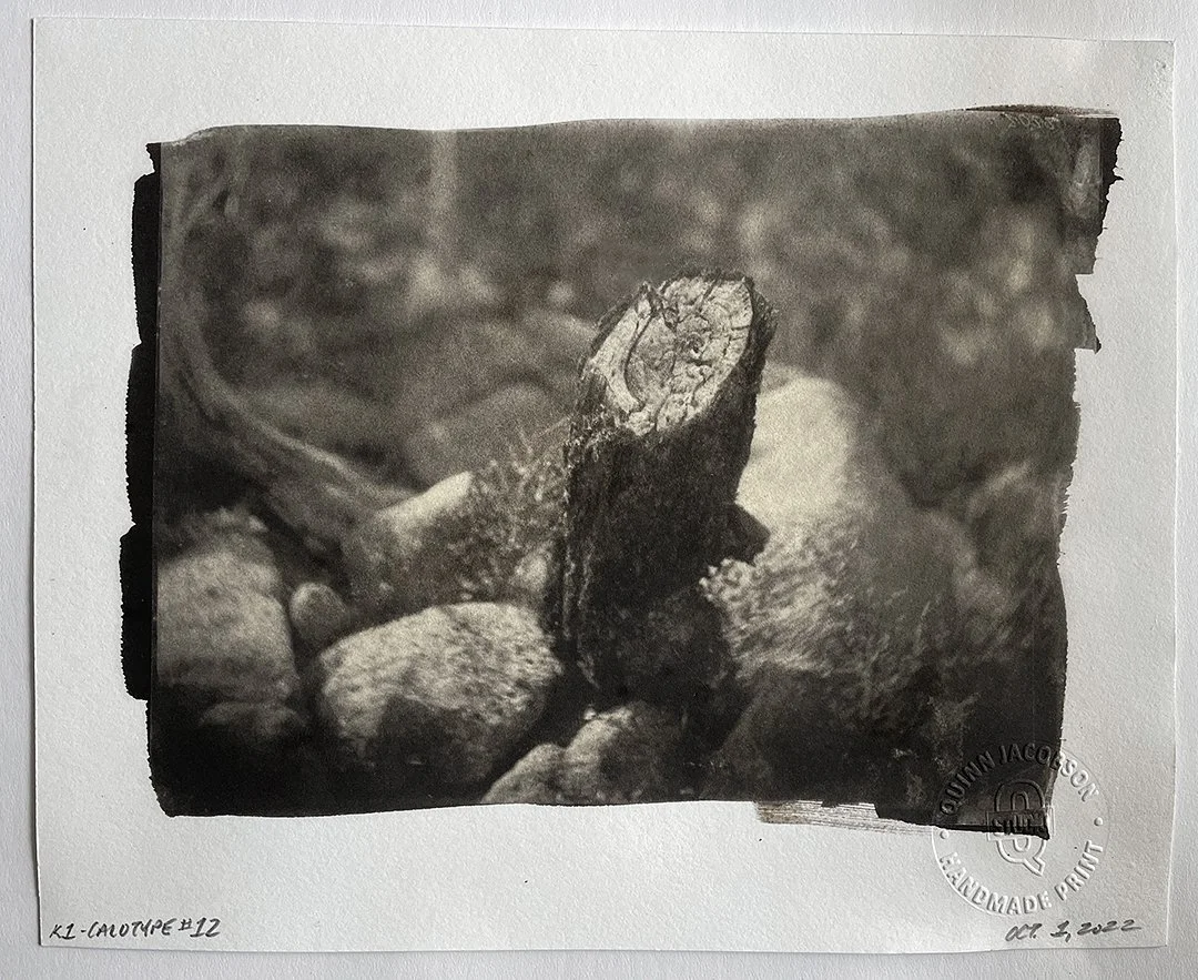 My Full Consideration — Studio Q Photography