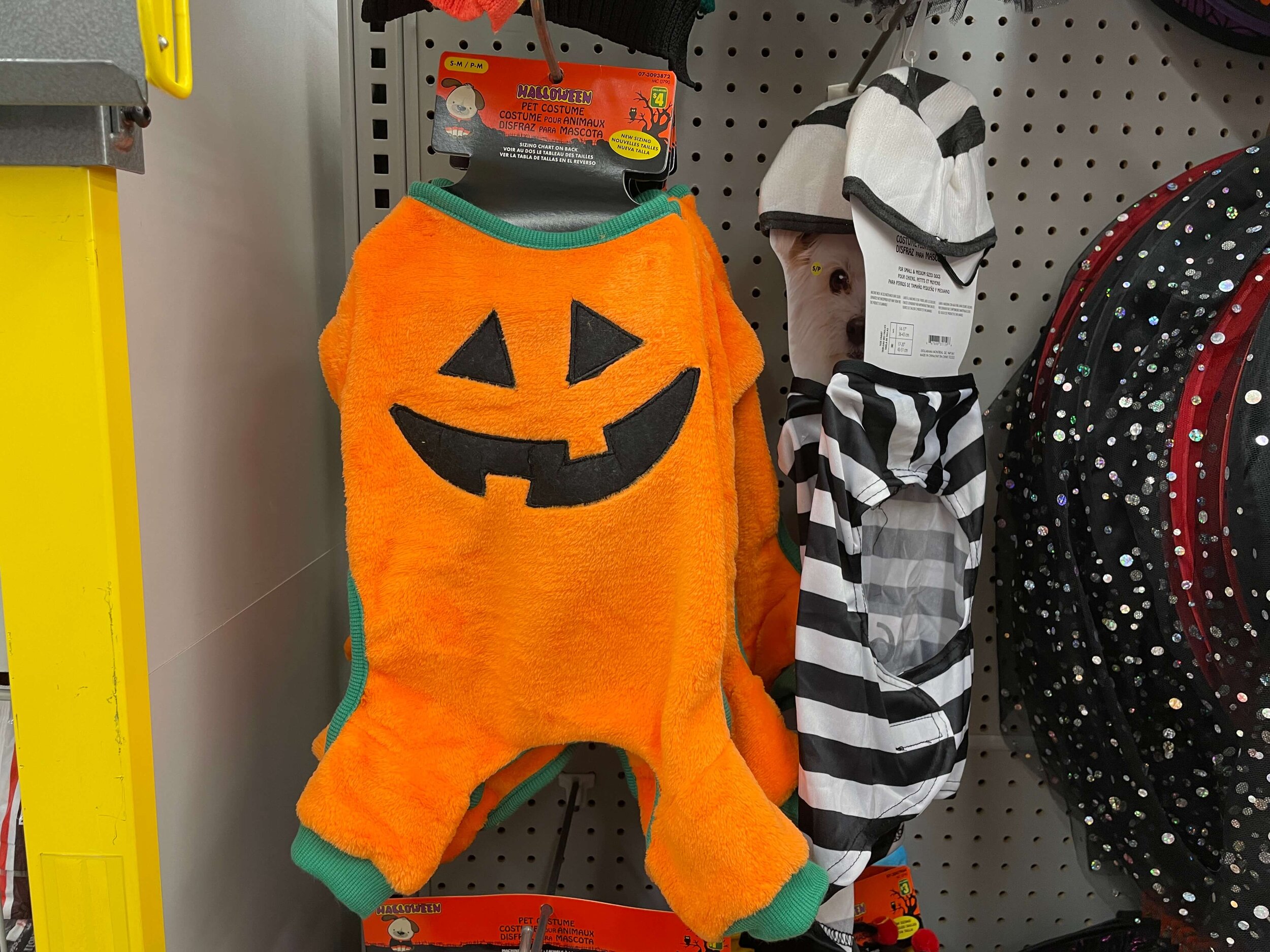 Dollarama : Top trouvailles pour l’Halloween — Je suis une maman ...