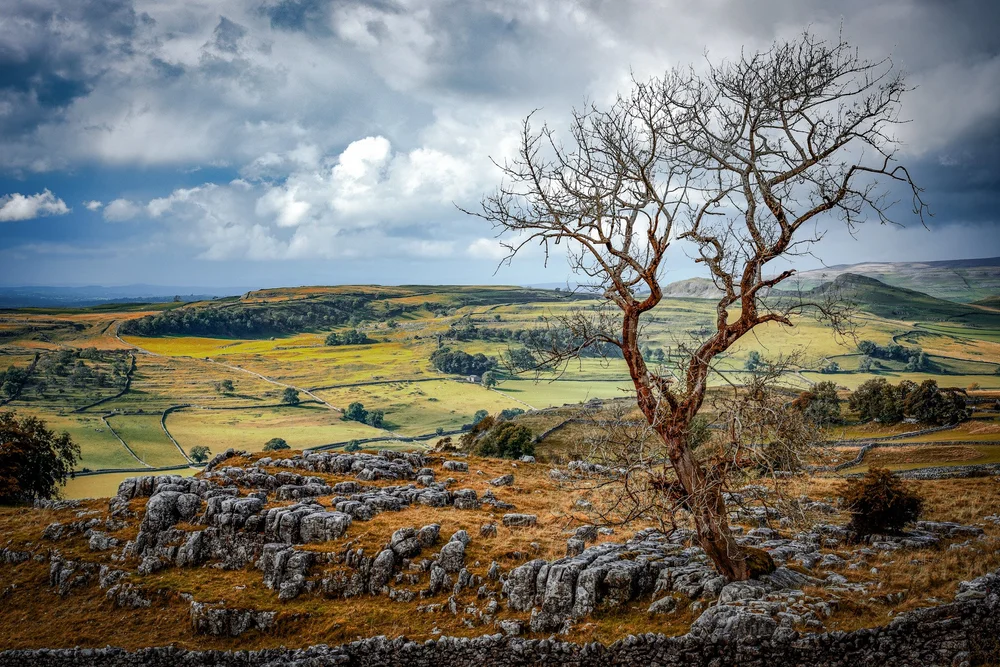 Bill Allen Photography