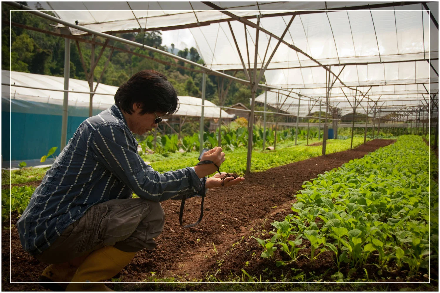 Couchsurfing With an Organic Farmer in Malaysia — Dustin Main's A ...