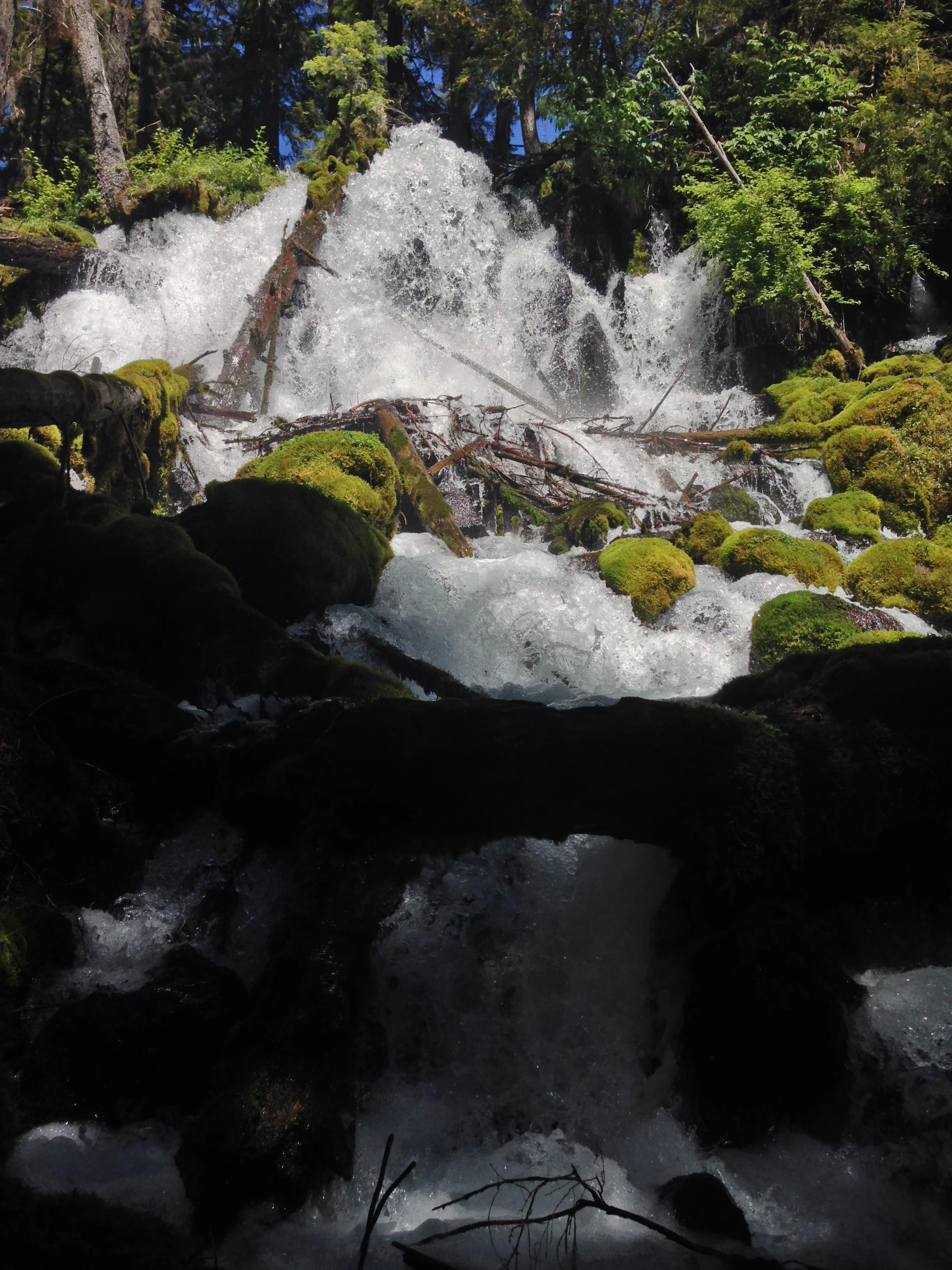 Clearwater Falls, Oregon — The Last Adventurer