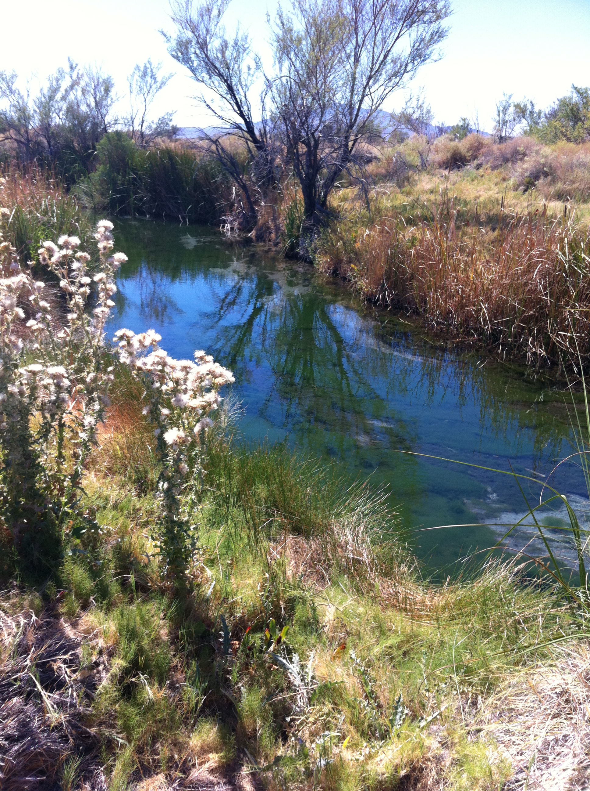 Ash Meadows National Wildlife Refuge — The Last Adventurer