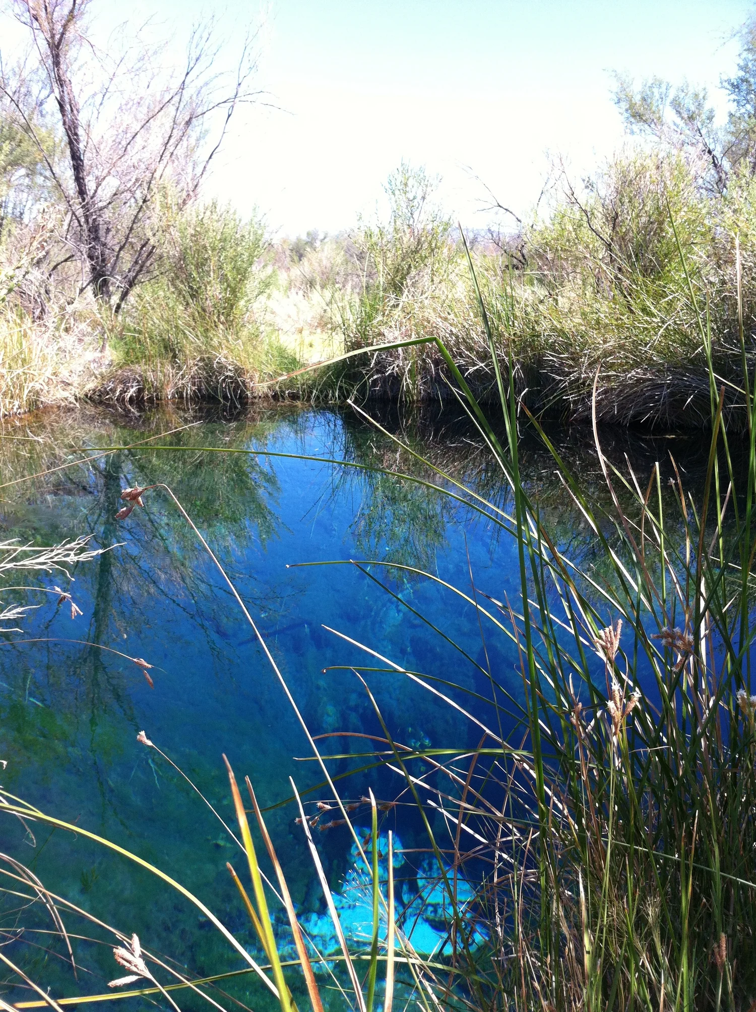 Ash Meadows National Wildlife Refuge — The Last Adventurer