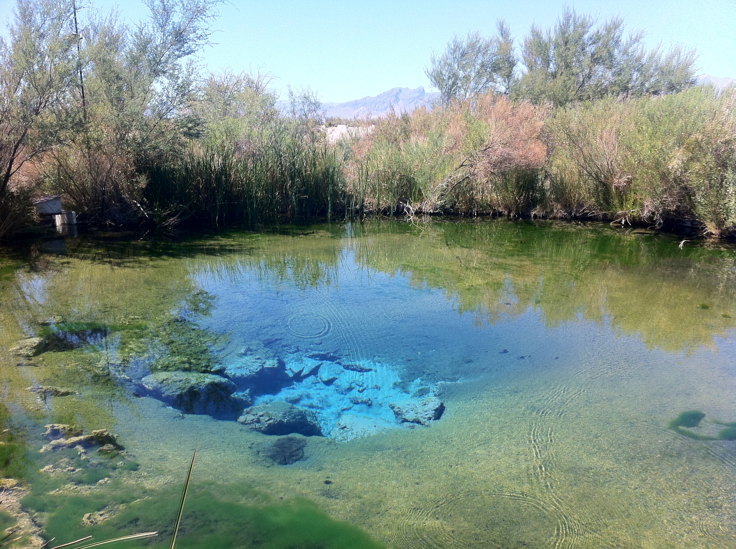 Ash Meadows National Wildlife Refuge — The Last Adventurer