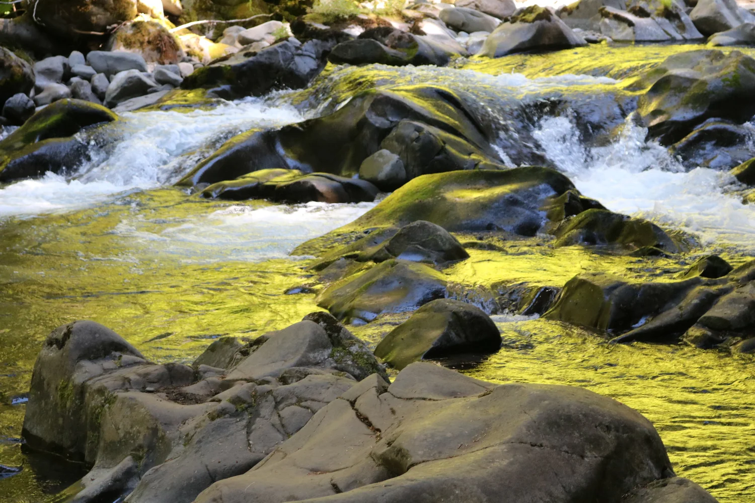 Sol Duc Falls — The Last Adventurer
