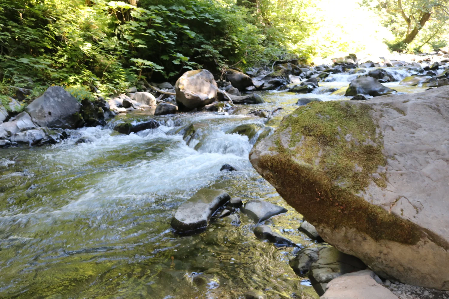Sol Duc Falls — The Last Adventurer