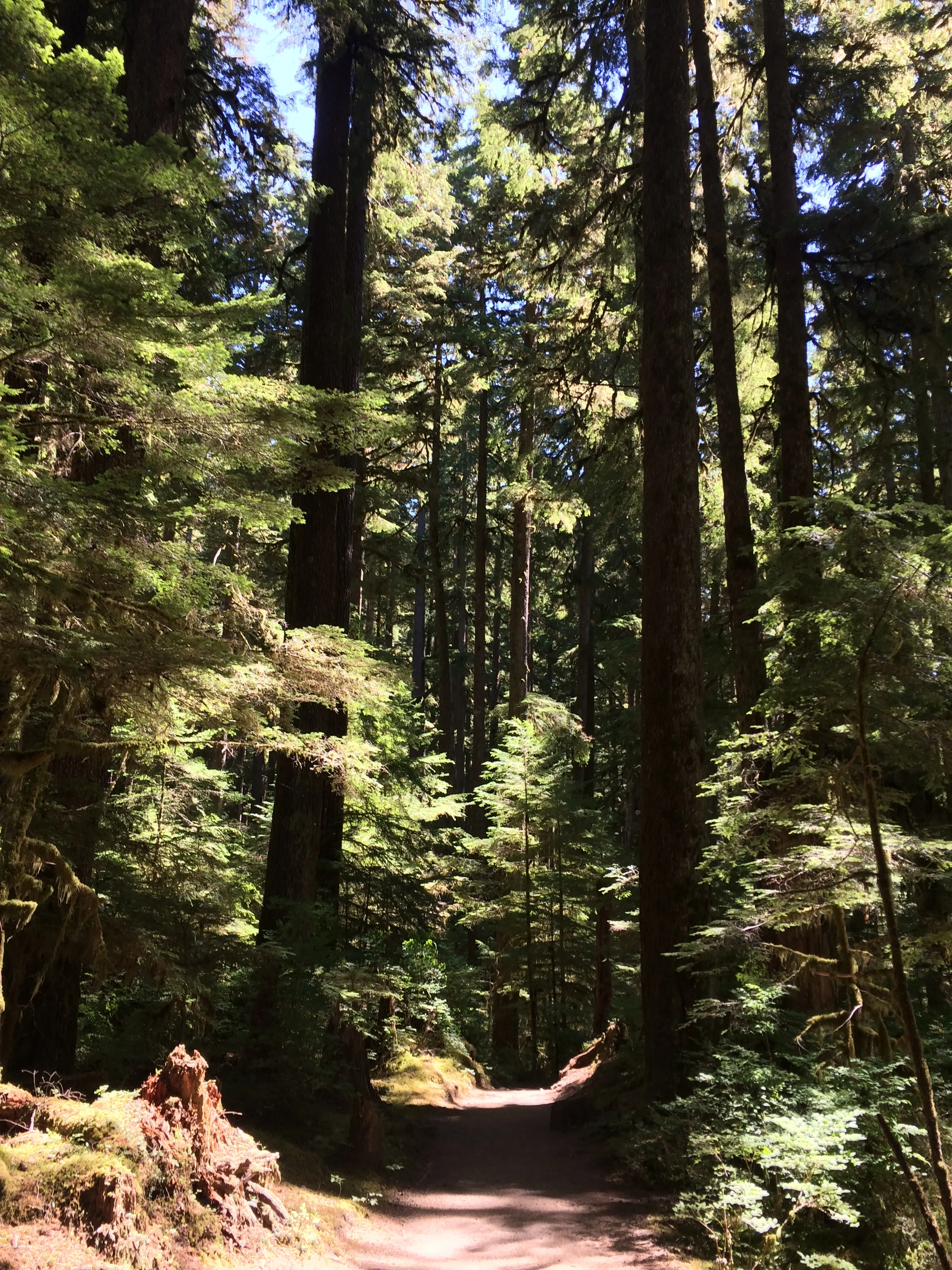 Sol Duc Falls — The Last Adventurer