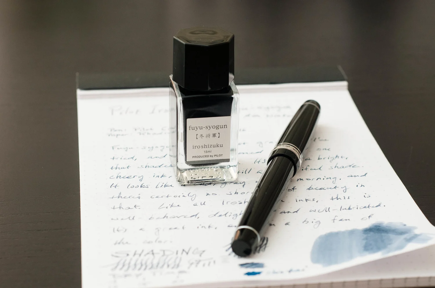 Pilot Iroshizuku Fuyu-syogun Fountain Pen Ink Review — The Pen Addict
